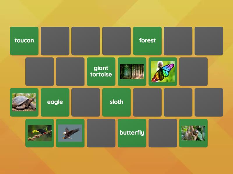 beehive 4 unit 1 - Matching pairs