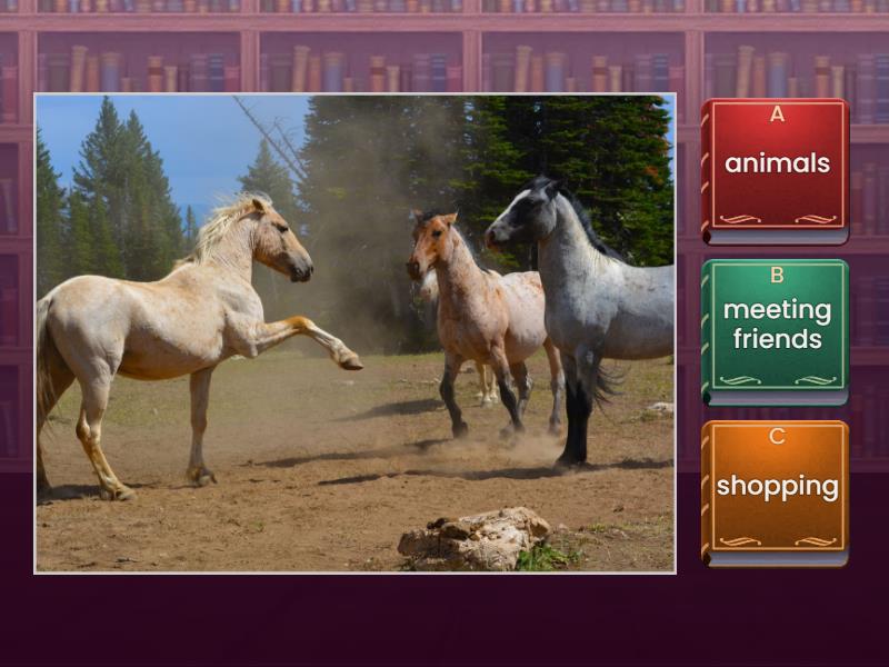 YEAR 5 | STARTER UNIT: FREE TIME | HOBBIES AND INTERESTS - Quiz