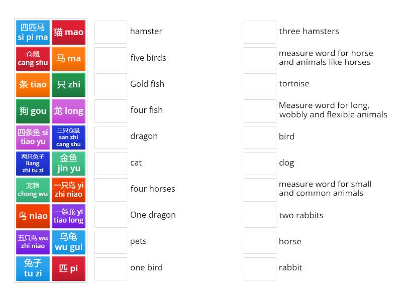 Year 3 - Pet animals - Match up