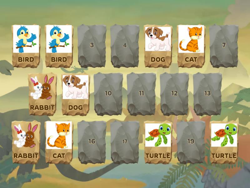 PET - Matching pairs