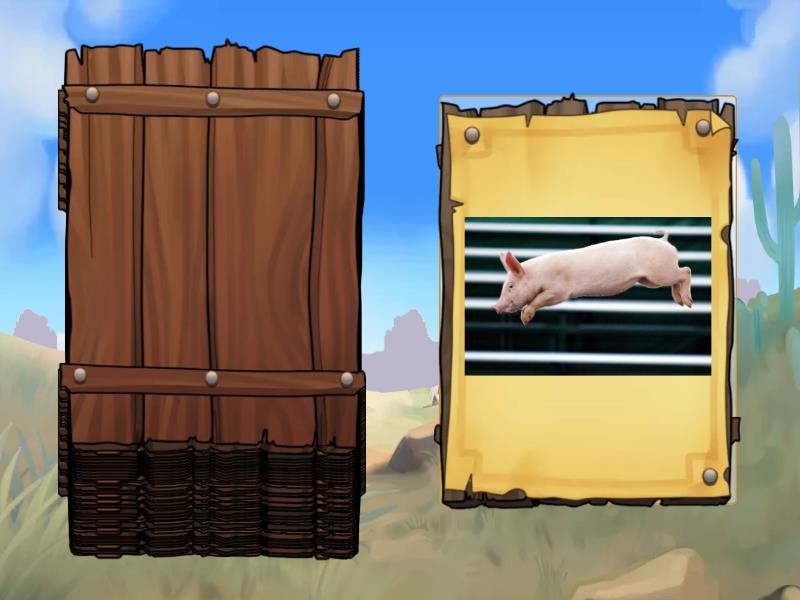 Vccv Pig - Speaking cards