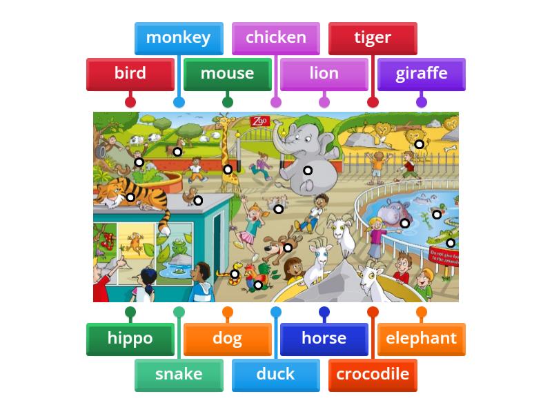 Unit 1: Animals - Labelled diagram