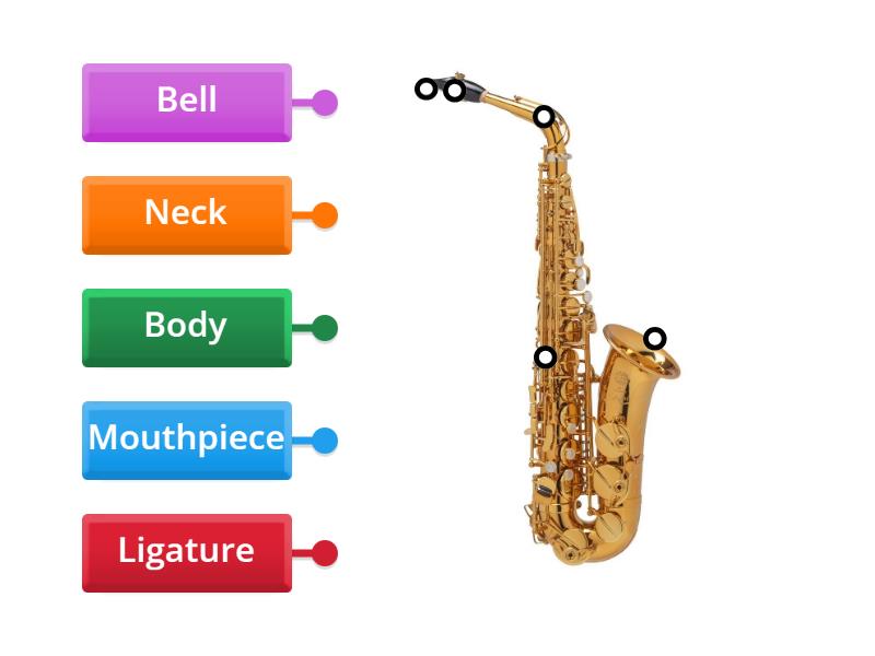 Alto Saxophone Label - Labelled diagram
