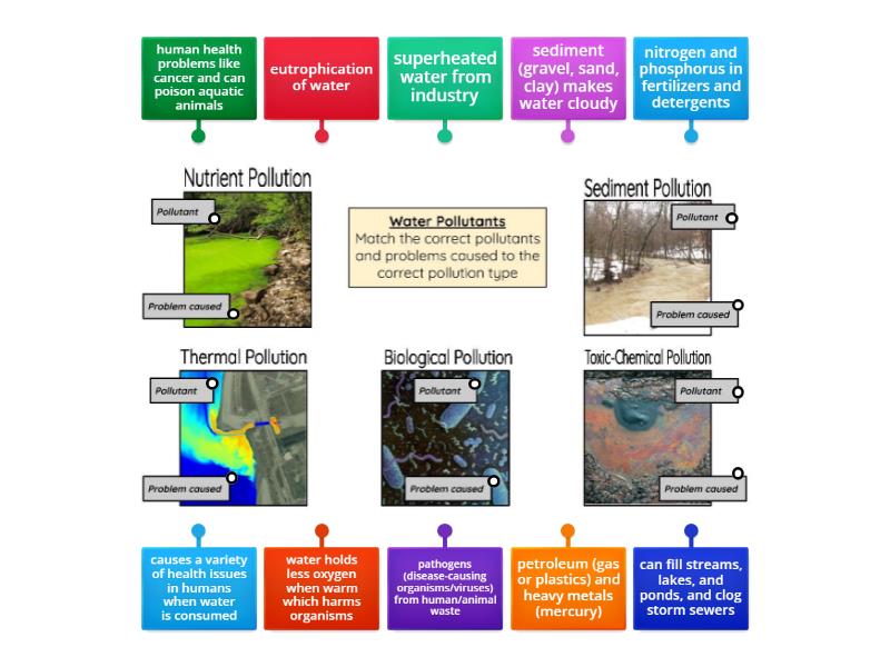 Water Pollution Diagram Wordwall - Labelled diagram