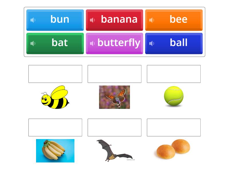B letter words - Match up