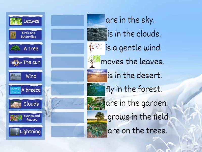 Nature Sentences - Match up