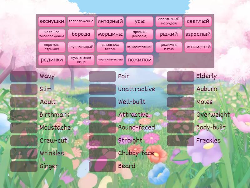 voc check 1 Karolina - Match up