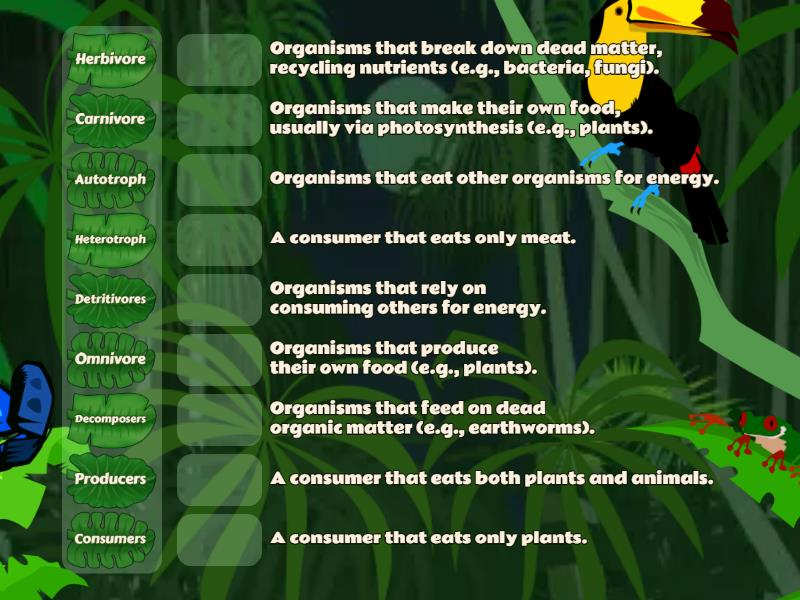 Ecosystem Roles: - Match up