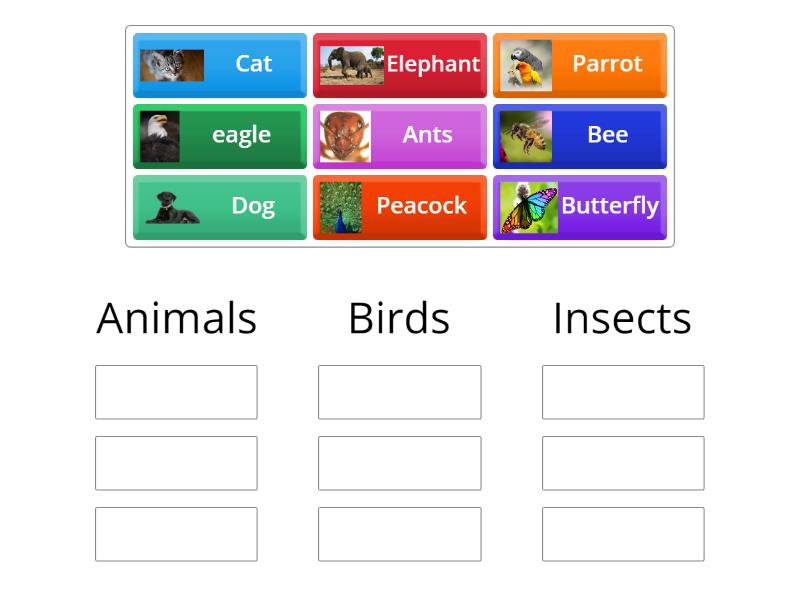 Sorting Animals - Group sort