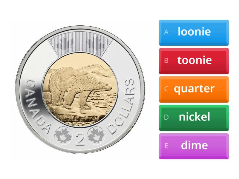 Show what you know! I can identify Canadian Coins - Quiz