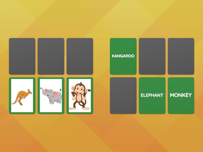 zoo animals - Parejas