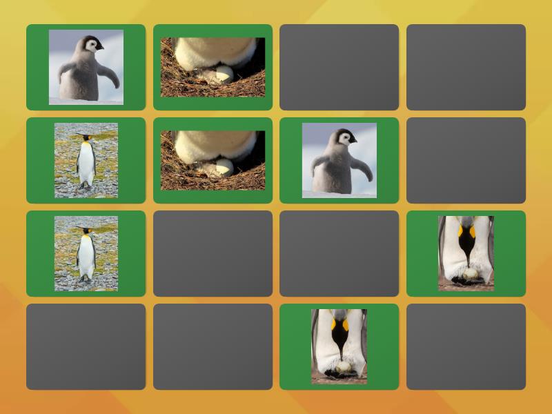 Penguins Memory game - Matching pairs