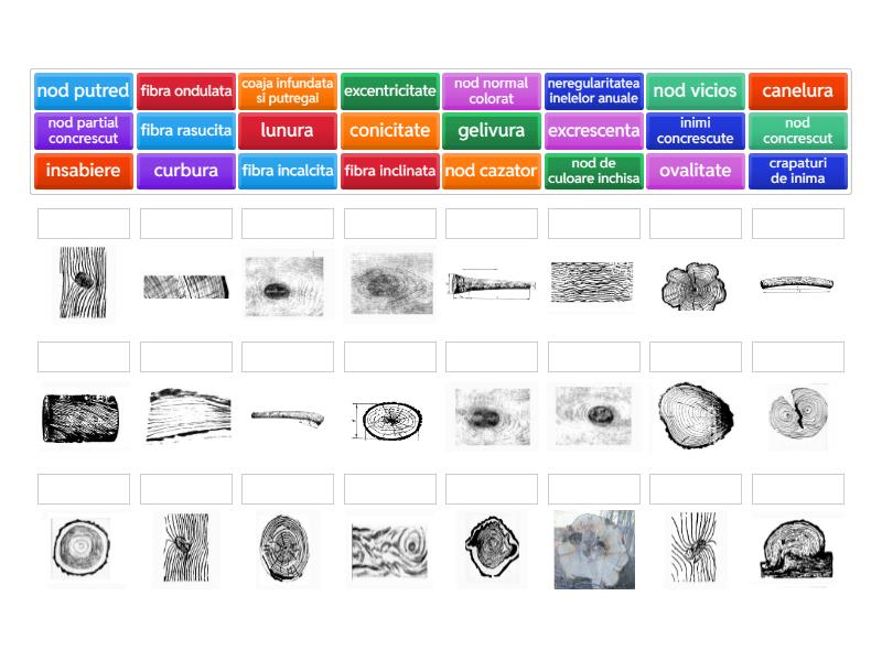 Defectele lemnului - Match up
