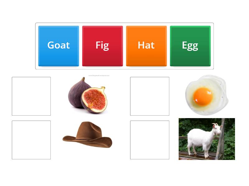 ff1 2 unit - Match up