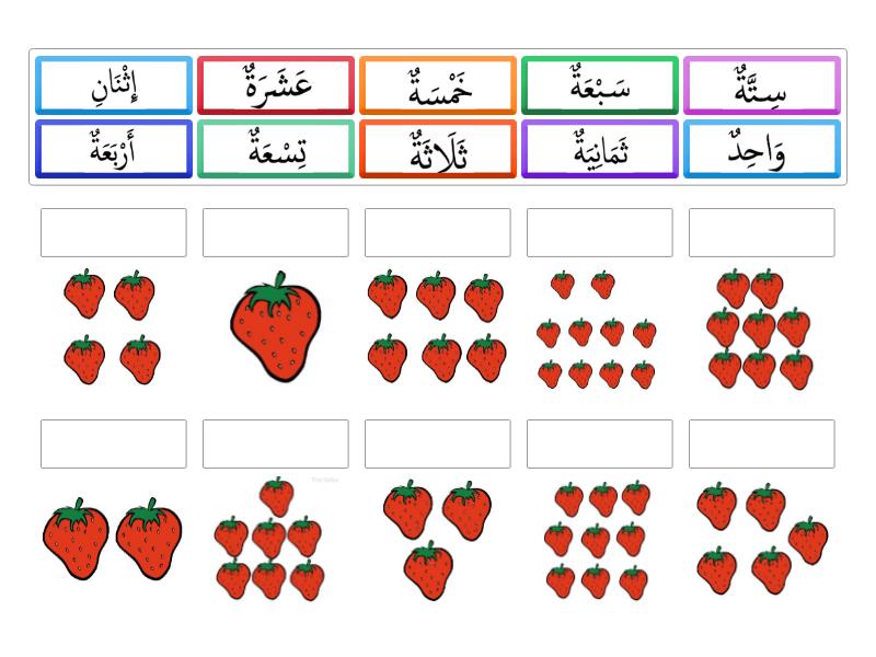 Arabic Number (Counting) - Match up