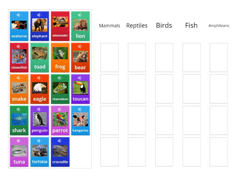 Animal Classification - Group sort
