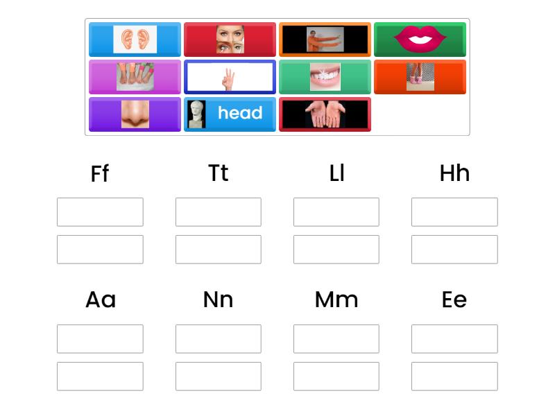 Body part beginning sound - Group sort
