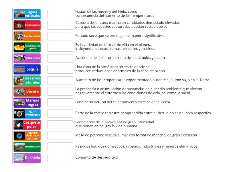 El medio ambiente - Match up