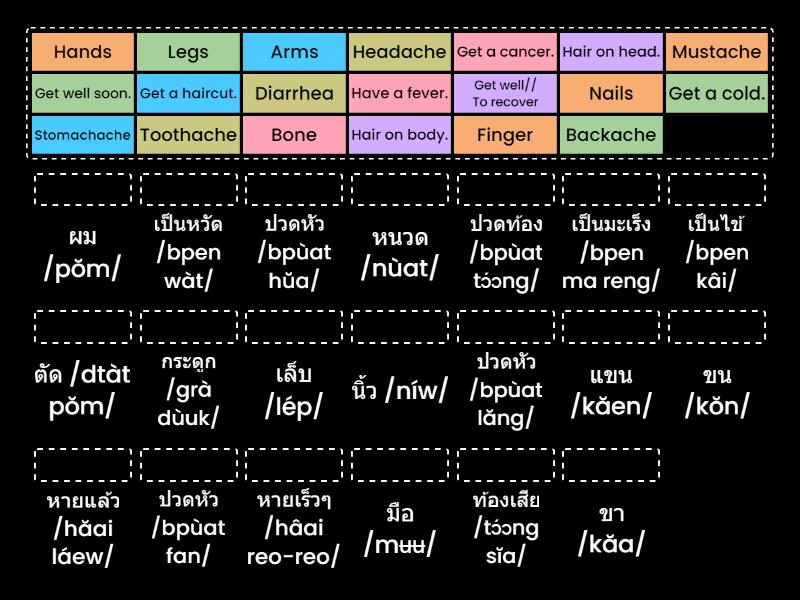RIAN THAI ONLINE: Vocabulary Thai A1_ Parts of body [Matching] - Match up