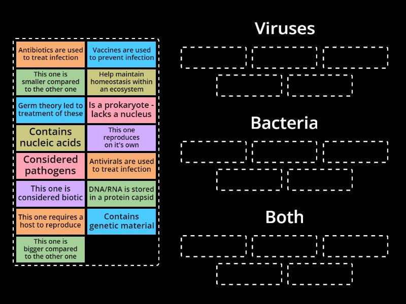 Bacteria and Viruses - Group sort