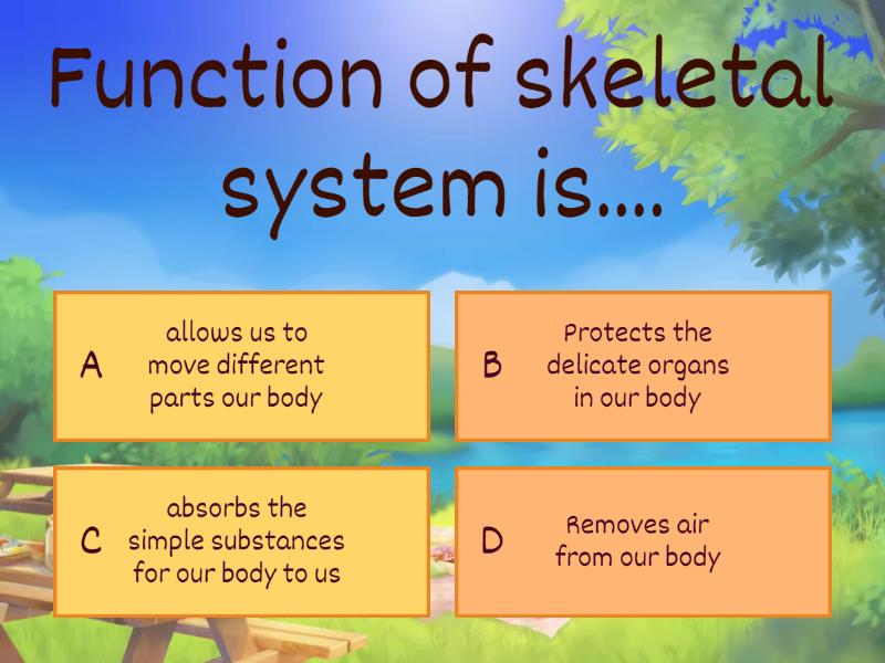 Science: Skeletal and Muscular System - Quiz
