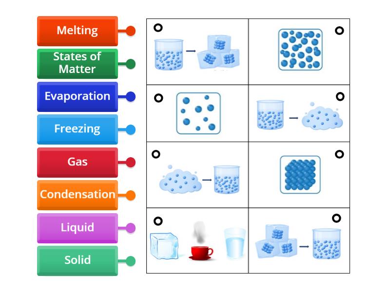 States of Matter Labeled Diagram (3rd-4th-5th Grade Science) - Labelled ...