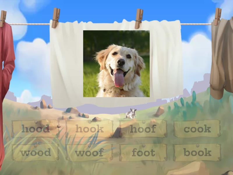 oo - book - Find the match