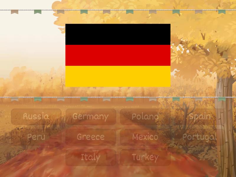 Flags & countries - Cada oveja con su pareja