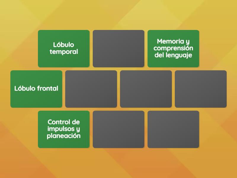 Neuro match - Matching pairs