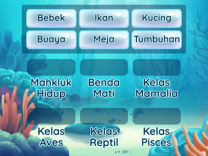 pembelajaran games ipa Kelas 7 - Match up