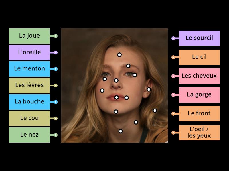 Les parties du visage. - Labelled diagram