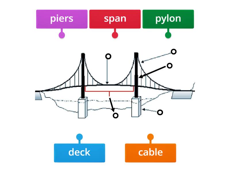 Parts of a bridge - Labelled diagram