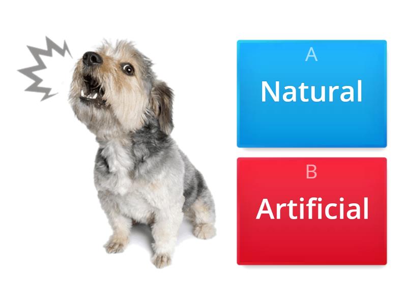 Natural or artificial sound - Quiz