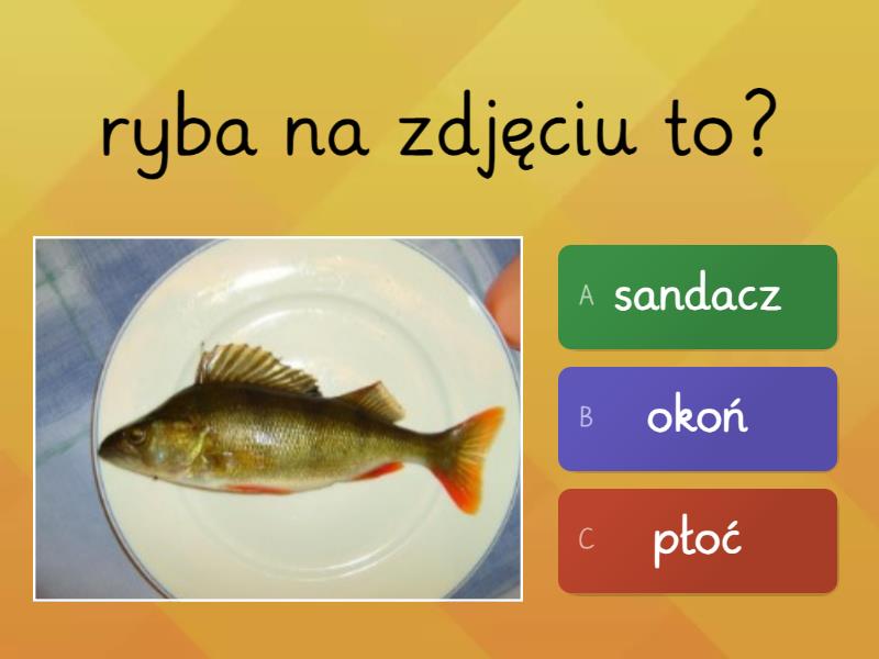 ryby polski - Quiz