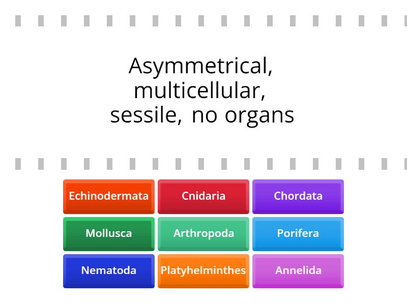 Classification (via descriptions) - Find the match