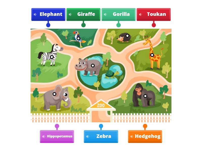 Zoo Animals Hunt Game - Labelled diagram