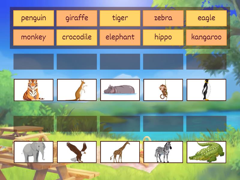 Zoo Animals - Match up