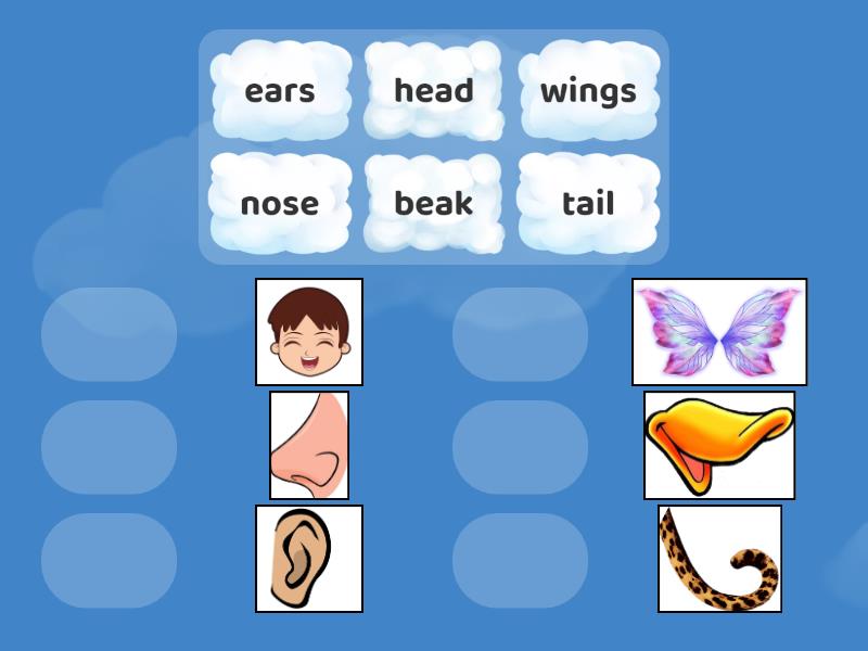 beehive 1 unit 5 lesson 3 - Match up