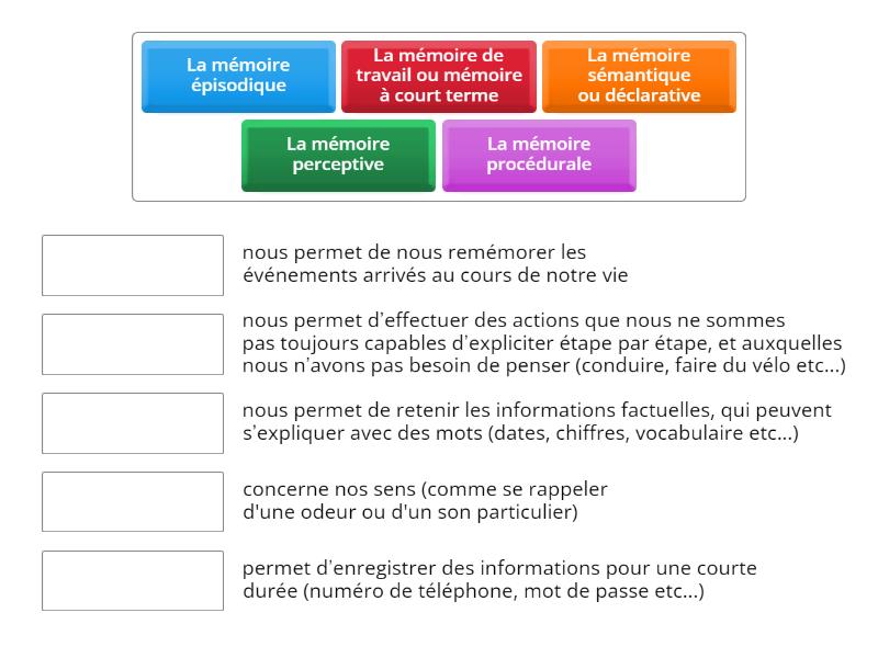 Les 5 types de mémoire - Match up