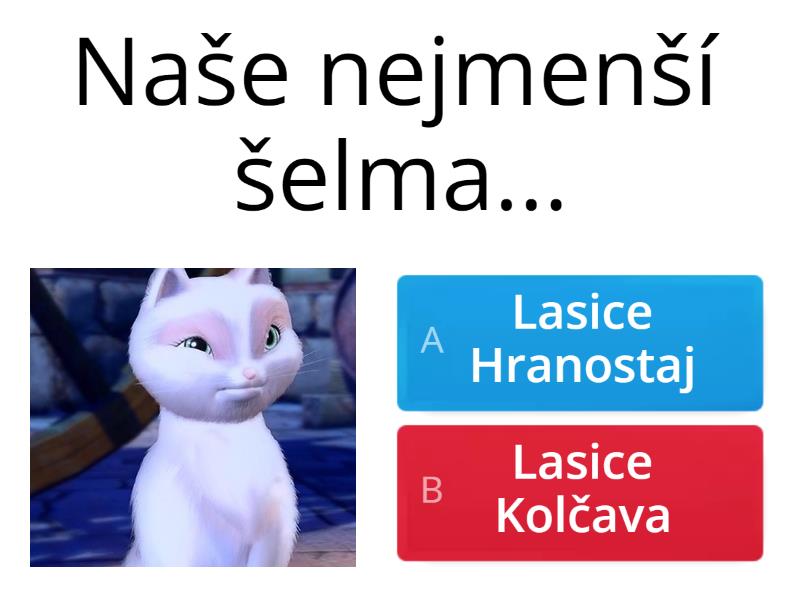 Šelmy Lasicovité a Medvědité- Honzíček P. - Cuestionario