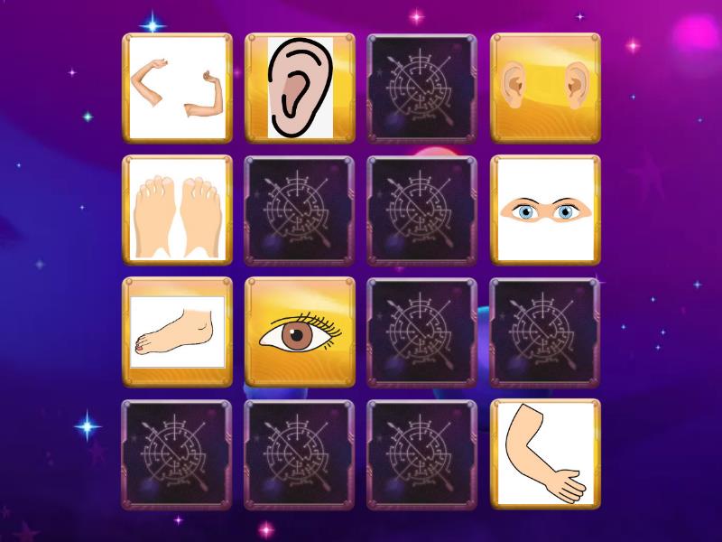 Body parts: singular and plural - Matching pairs