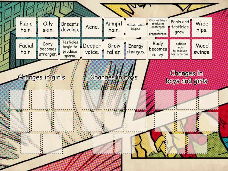 Changes in Puberty - Group sort