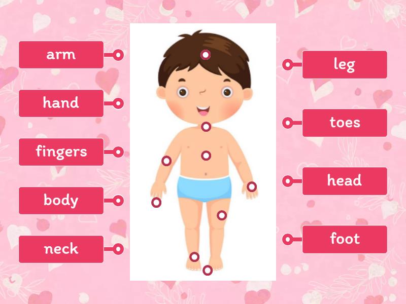 Parts of the body Go getter 1 Unit 4.2 - Labelled diagram