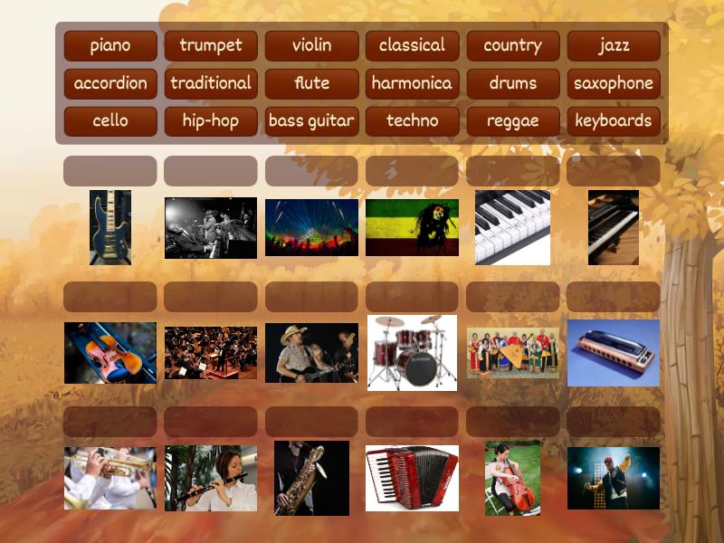 Wider World 1, unit 5, musical instruments + styles - Match up