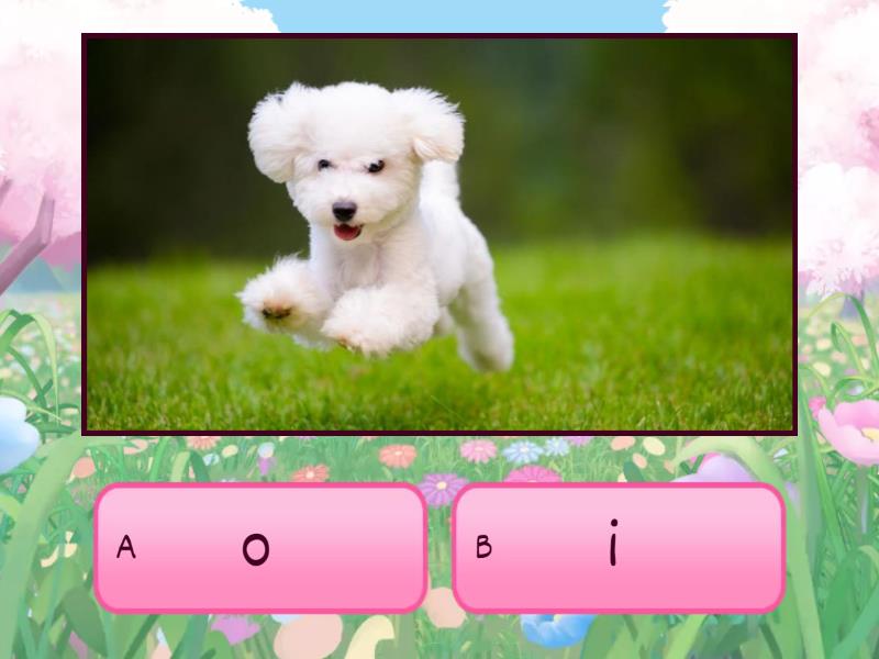 AS U4 review t4 - Quiz