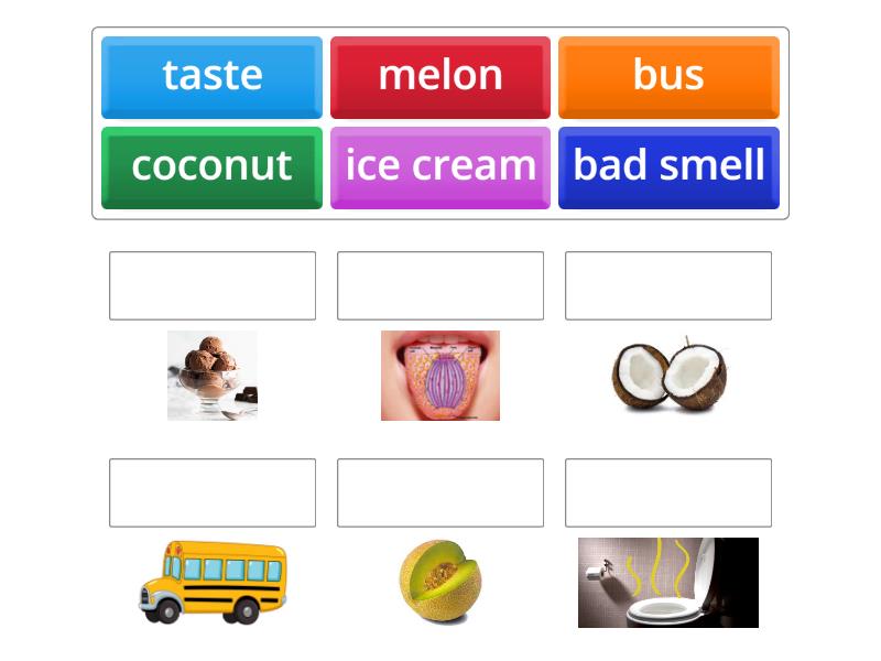 AS1 Unit 10 vocabulary - Match up