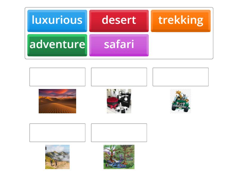 Unit 12 Vocabulary - Match up