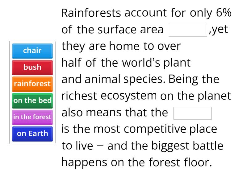 Competition in the Rainforest - Complete the sentence