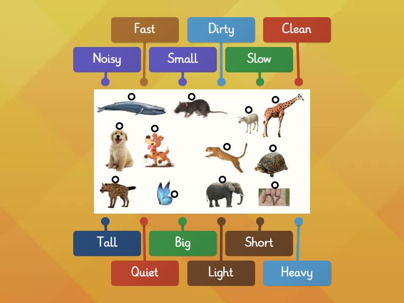 Opposite adjectives Animals - Labelled diagram