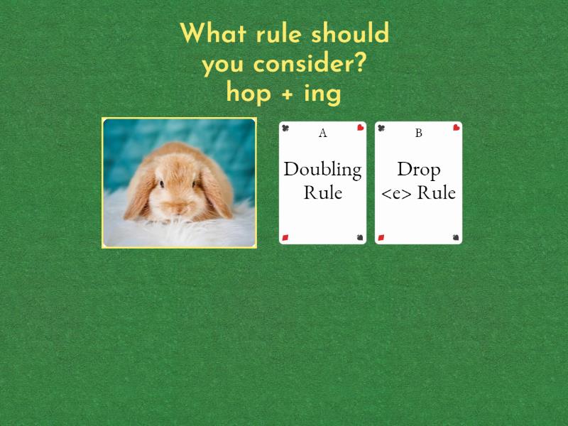 Doubling or Drop Rule: Which one? - Win or lose quiz